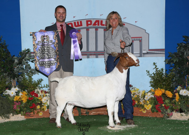 JC Boer Goat Show Winners | JC Boer Goats - JCBoerGoats.com