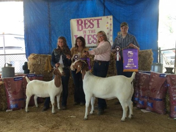 Boer Goats for Sale | JC Boer Goats - JCBoerGoats.com